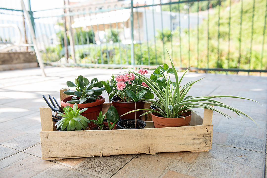 How to Build Recycled Garden Structures from Pallets – That Home Shop